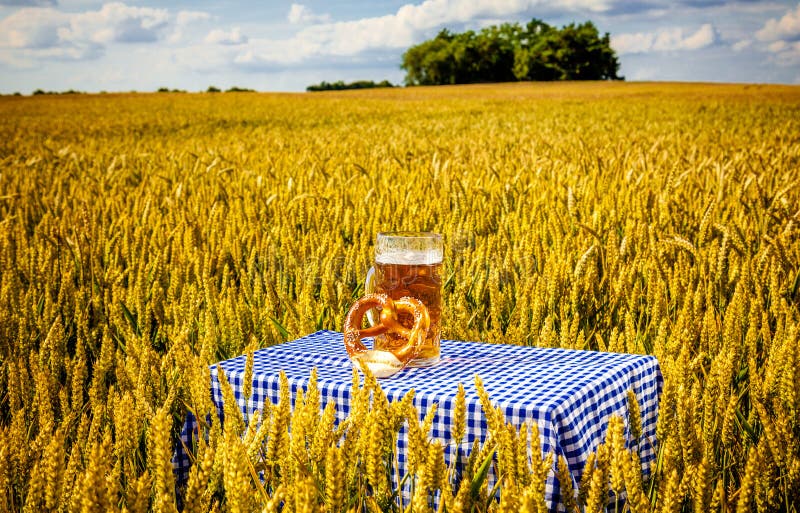 Beer girl stock image. Image of huge, celebrate, european - 10298723