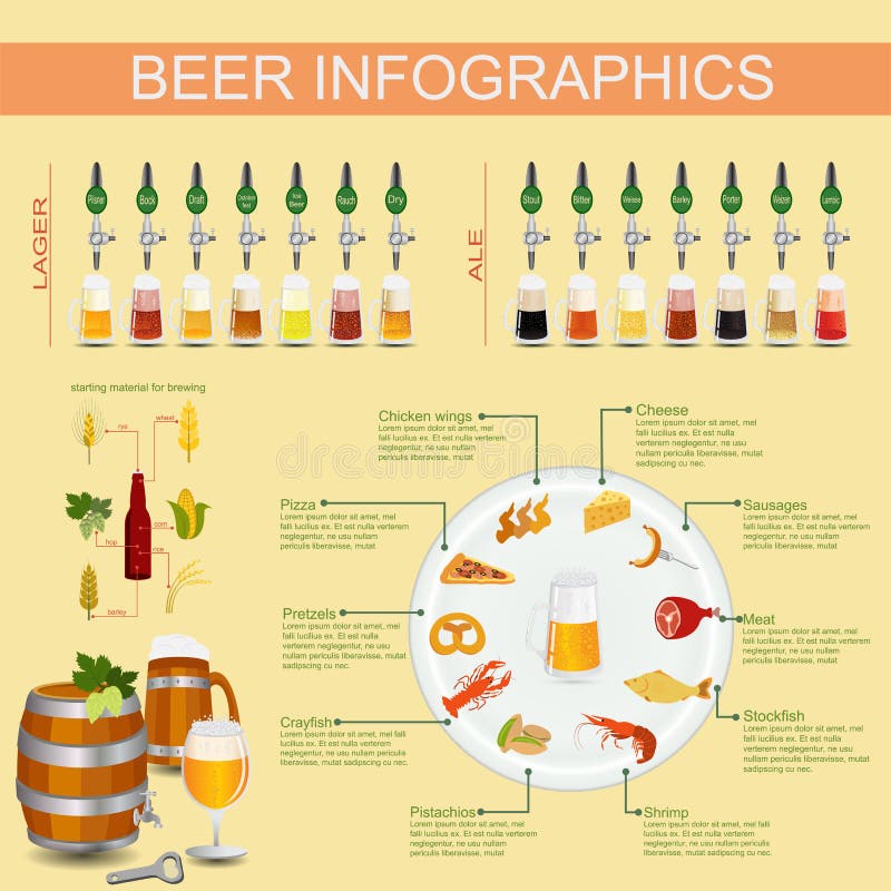 Beer Snack Infographics, Set Elements, for Creating Your Own in Stock ...