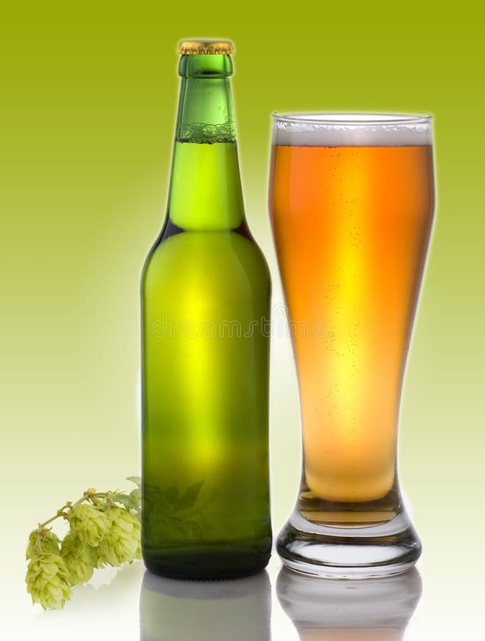 Beer still life stock photo. Image of lager, drink, reflection - 17539084