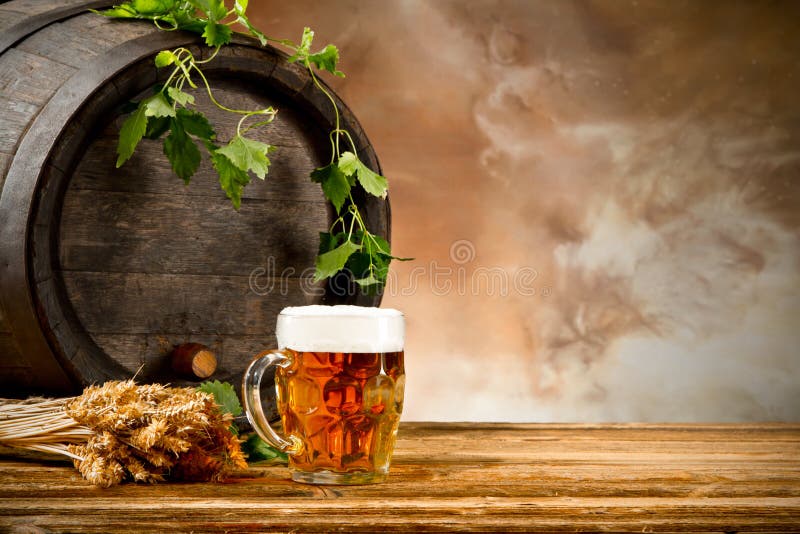 Shells stock photo. Image of urchin, stripes, shells, white - 2393740