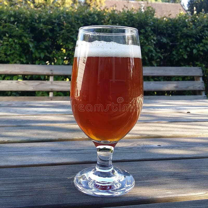 Beer in the sun stock photo. Image of home, drink, holliday - 64325594