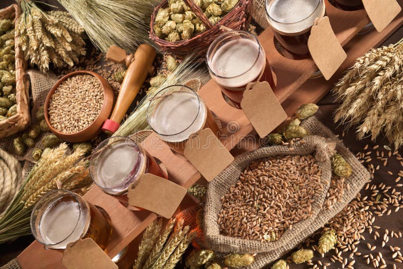 Beer Testing stock photo. Image of alcohol, tasting - 148053302