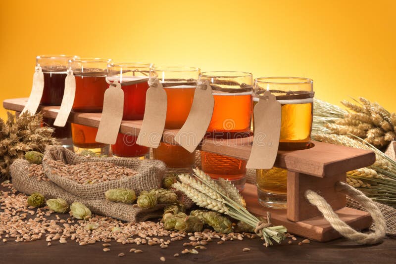 Beer testing stock image. Image of barley, glass, autumn - 68732299