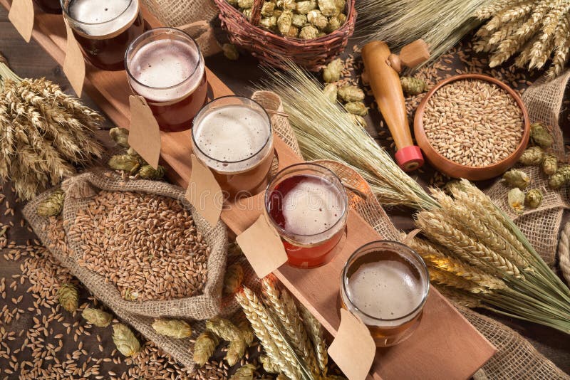 Beer Testing stock photo. Image of alcohol, tasting - 148053302