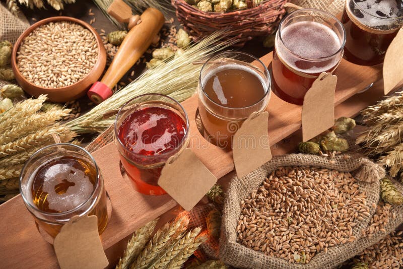 Beer Testing stock photo. Image of alcohol, tasting - 148053302