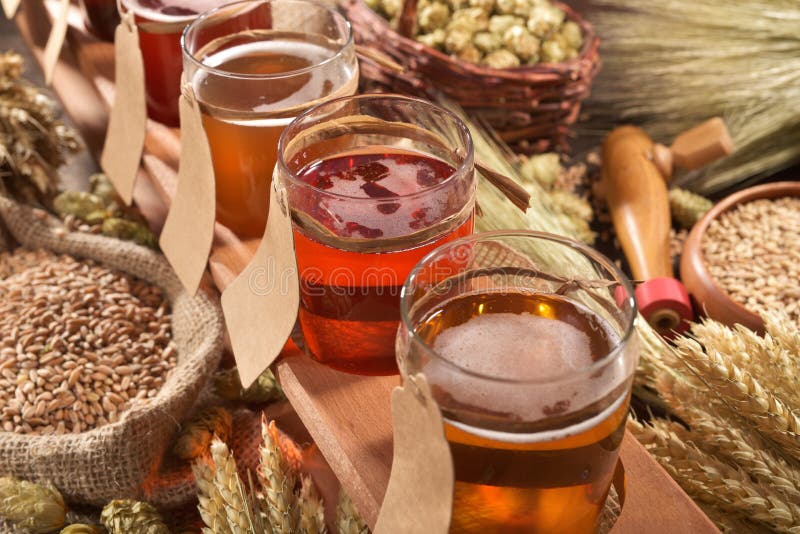 Beer Testing stock photo. Image of alcohol, tasting - 148053302