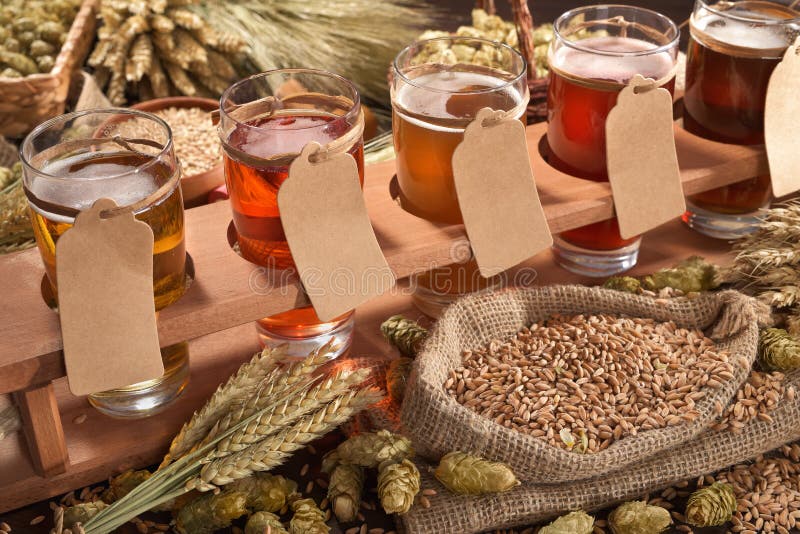 Beer Testing stock photo. Image of alcohol, tasting - 148053302