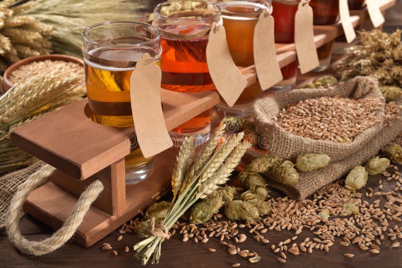 Beer Testing stock photo. Image of lager, light, beer - 148053830