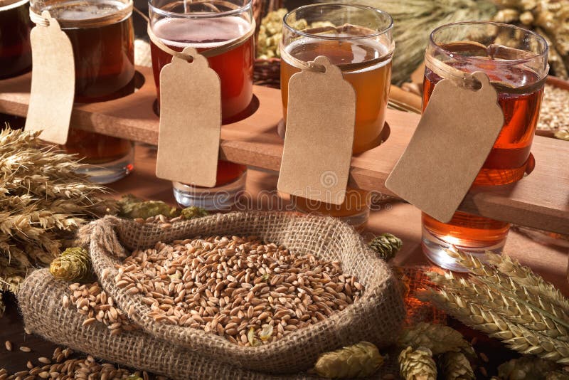 Beer Testing stock photo. Image of lager, light, beer - 148053830