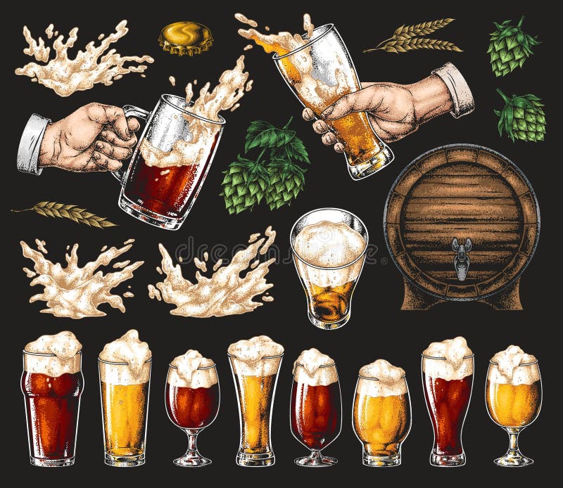 Beer Varieties and Brewing Elements on Display Stock Illustration ...