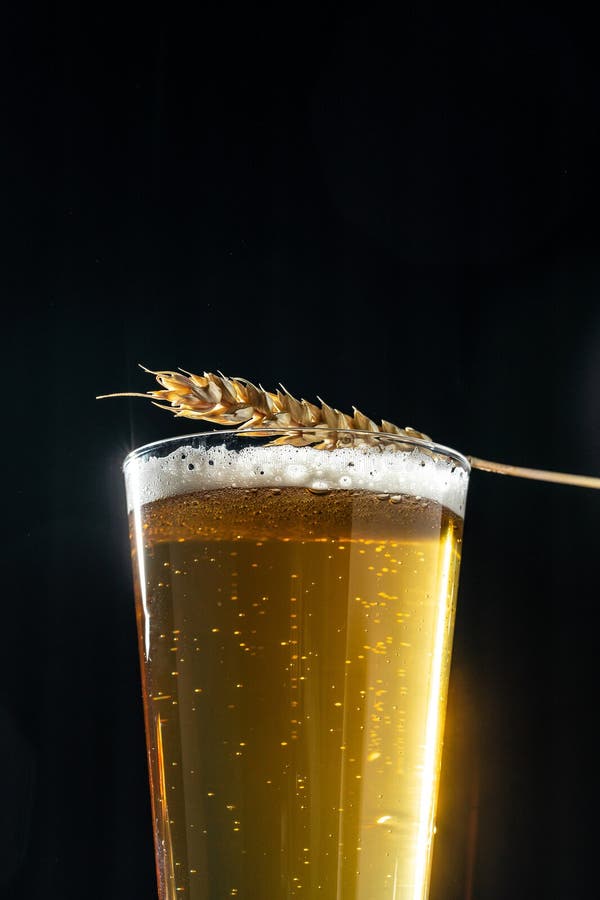Beer and Wheat Ears, Restaurant Menu, Dieting, Cookbook Recipe Top View ...
