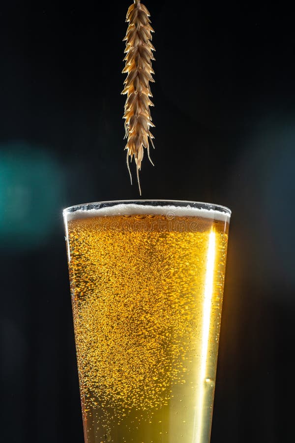 Beer and Wheat Ears. Vertical Image Stock Image - Image of cereal, beer ...