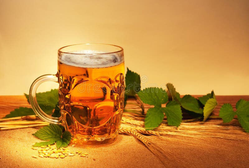 Beer wheat and hop stock photo. Image of green, brew - 15300026