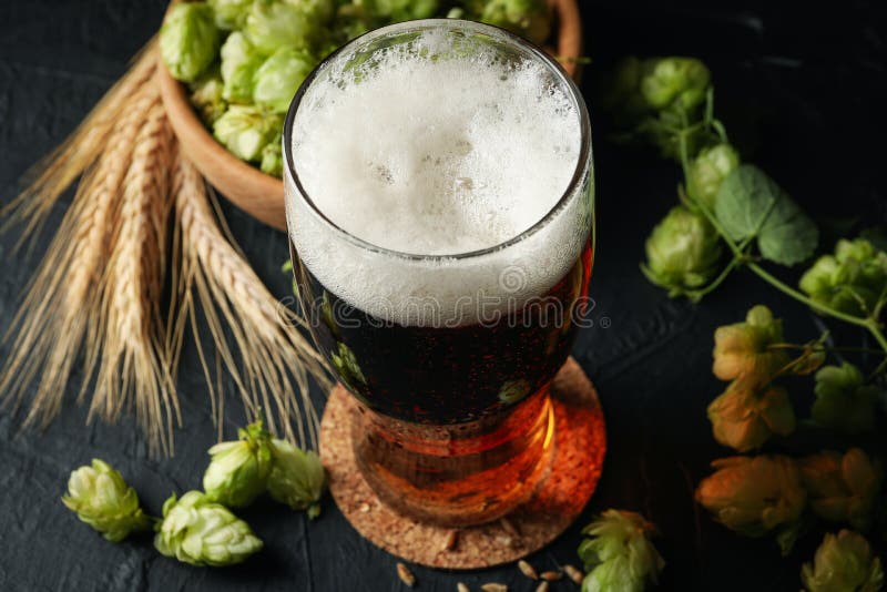 Beer, Wheat and Hop on Black Background Stock Photo - Image of party ...