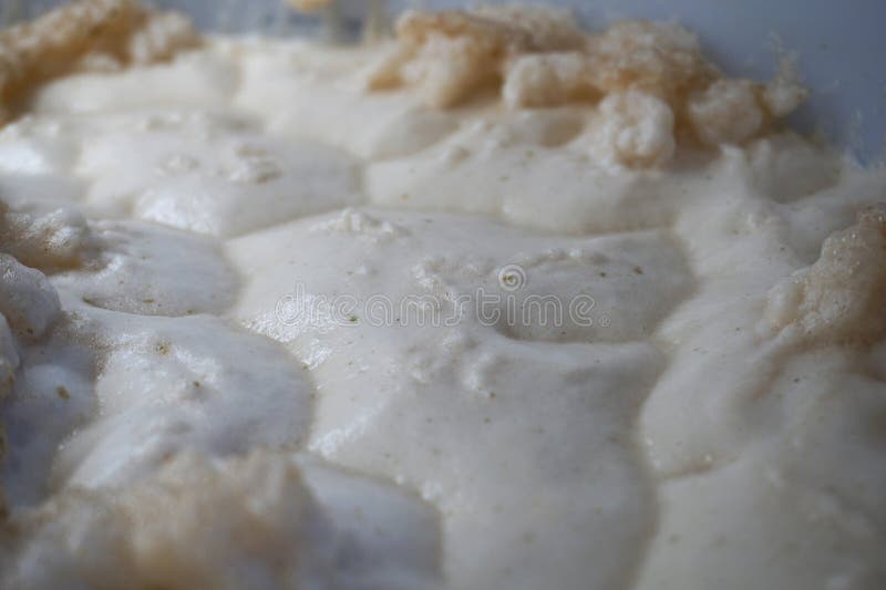Beer Yeast Foam - Alcohol Fermentation Process Stock Photo - Image of ...