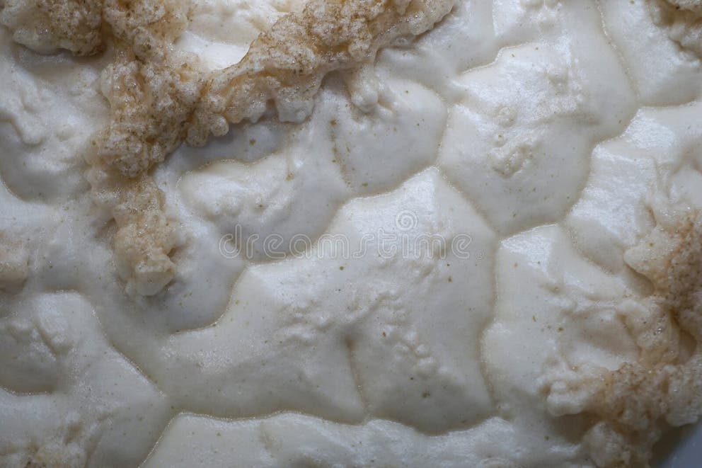 Beer Yeast Foam - Top View - Alcohol Fermentation Process Stock Photo ...