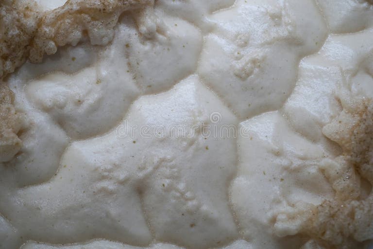 Beer Yeast Foam - Top View - Alcohol Fermentation Process Stock Photo ...
