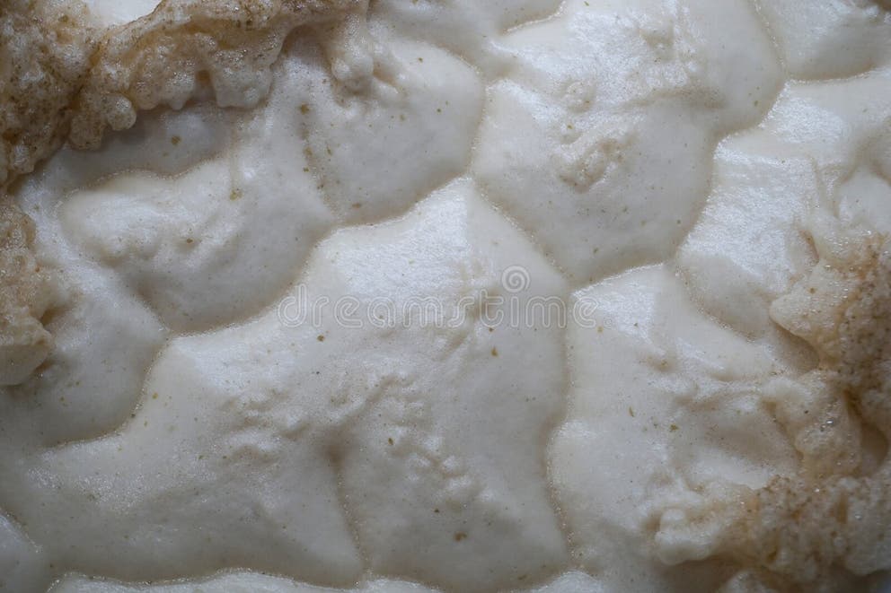 Beer Yeast Foam - Top View - Alcohol Fermentation Process Stock Photo ...