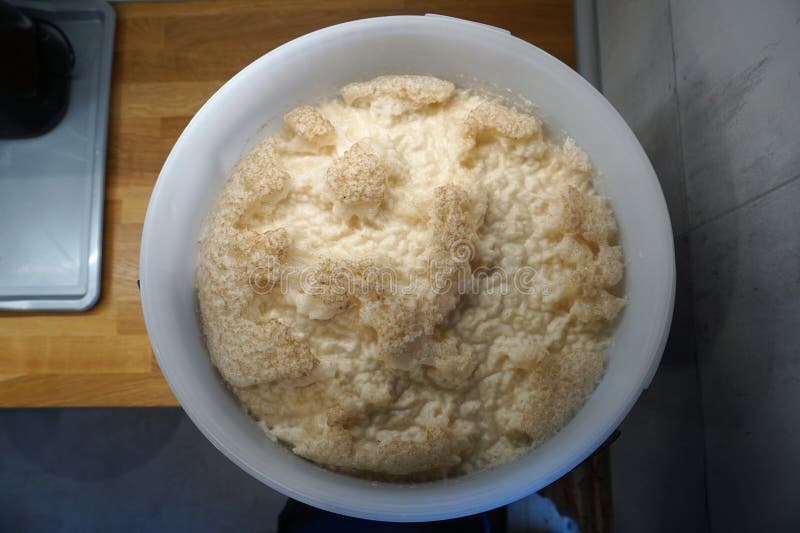 Beer Yeast in Round Plastic Fermenter - Home Brewing Concept Stock ...