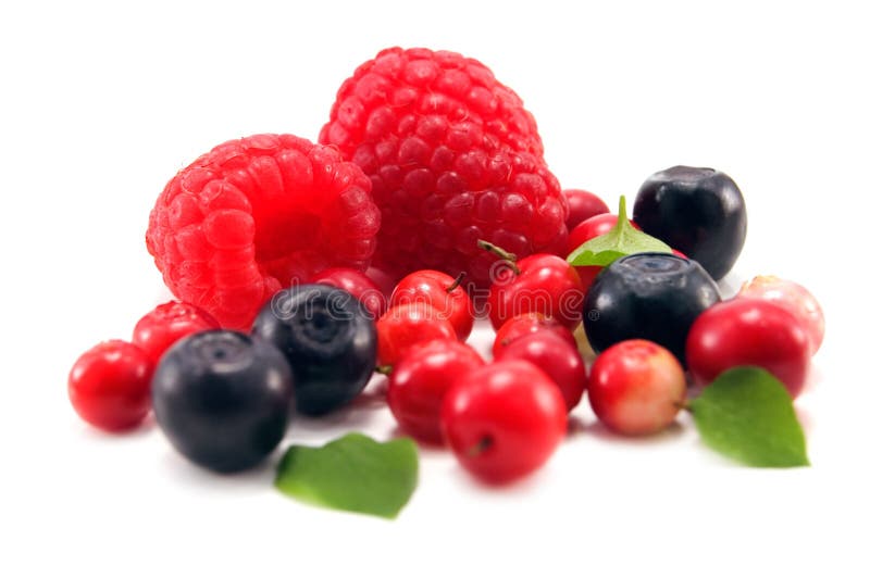 Beere stockbild. Bild von sommer, nähren, vitamin, nachtisch - 6191909