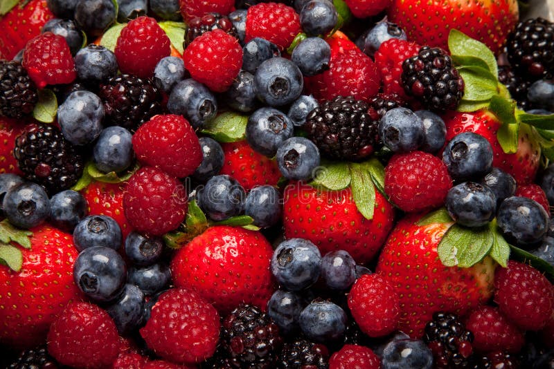 Beeren stockbild. Bild von ernte, beeren, blaubeere, frucht - 13108681