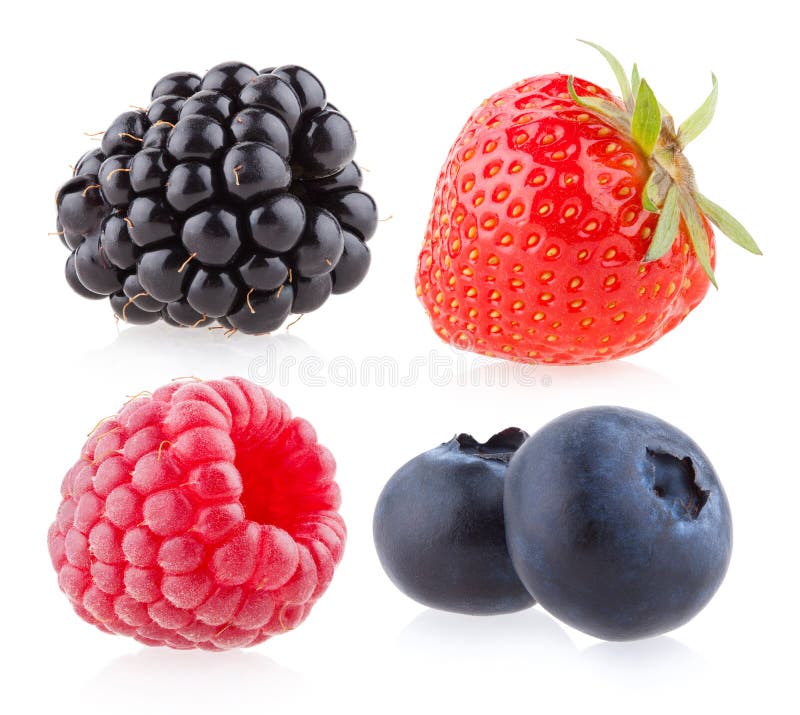 Beeren stockbild. Bild von gesund, saftig, reif, frucht - 35281017