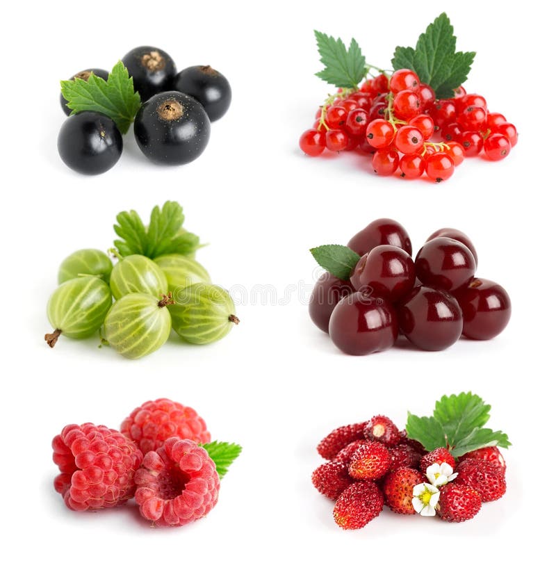 Beeren stockfoto. Bild von glänzend, dynamisch, bunt - 42861262