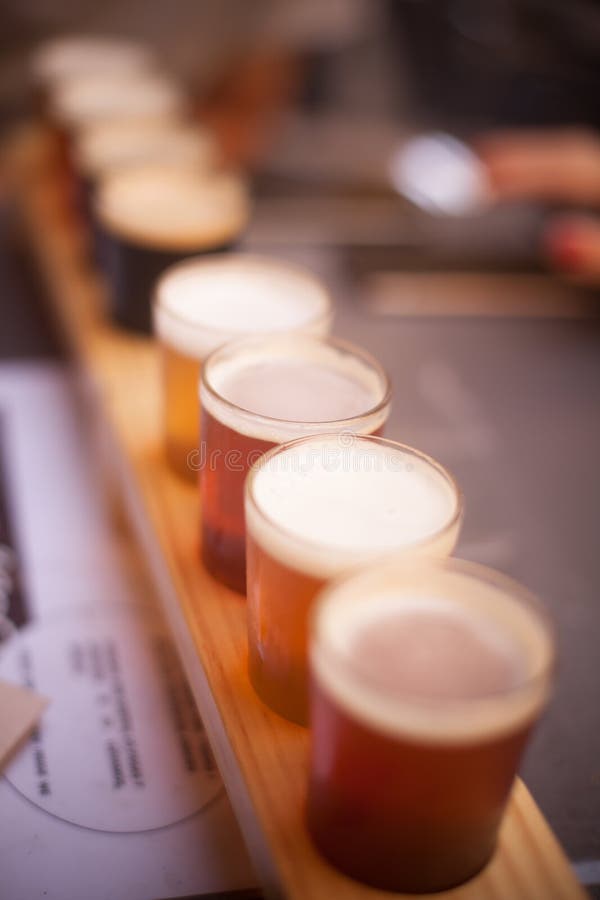 Beers for tasting stock image. Image of summer, pilsner - 128504647
