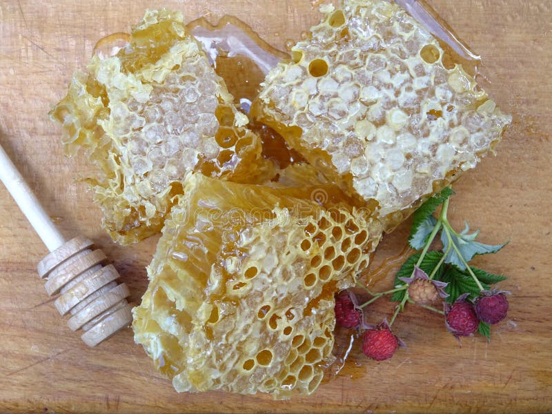 The Honey in the Frame is Collected by Bees Stock Photo - Image of ...