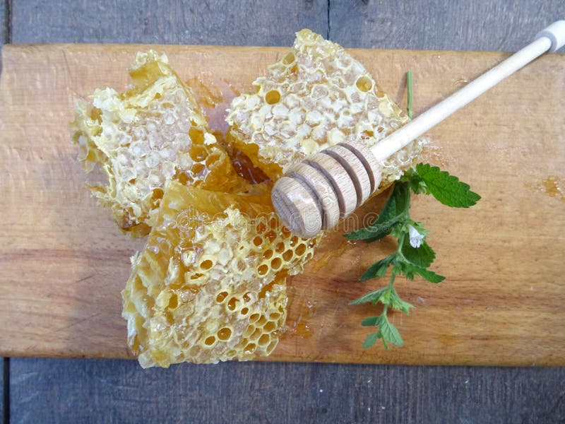 The Honey in the Frame is Collected by Bees Stock Image - Image of ...