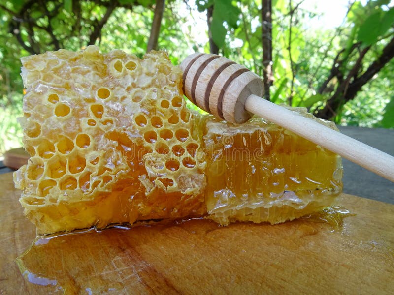 The Honey in the Frame is Collected by Bees Stock Photo - Image of ...