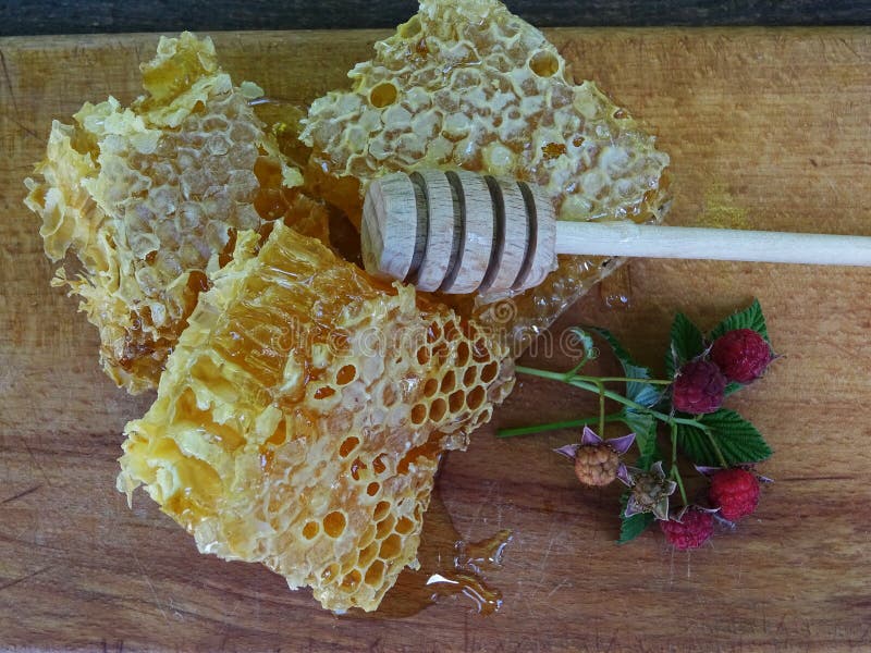 The Honey in the Frame is Collected by Bees Stock Photo - Image of ...