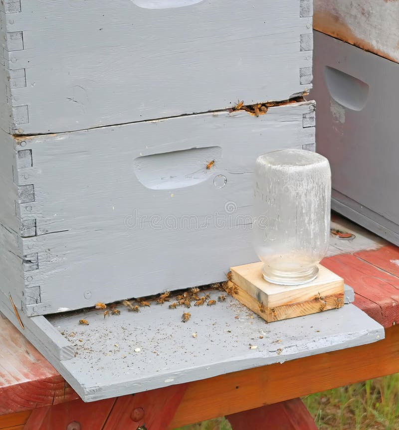 Bees Crawling in and Out of Some Supers Stock Photo - Image of water ...
