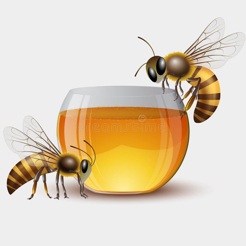 Bees and a Cup of Honey. Vector Illustration Stock Vector ...