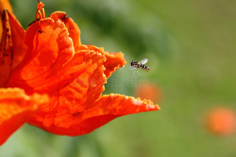 Sad Inanimate Objects Stock Photos - Free & Royalty-Free Stock Photos ...