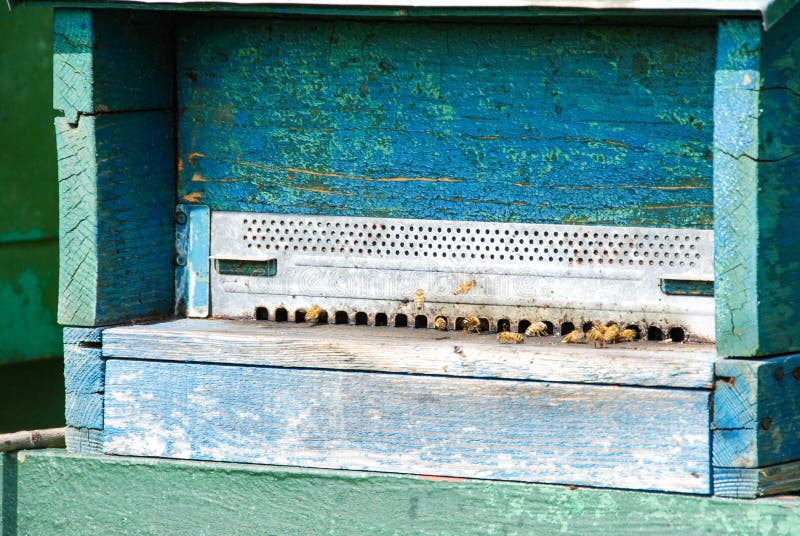 169 Entry Bee Hive Stock Photos - Free & Royalty-Free Stock Photos from ...