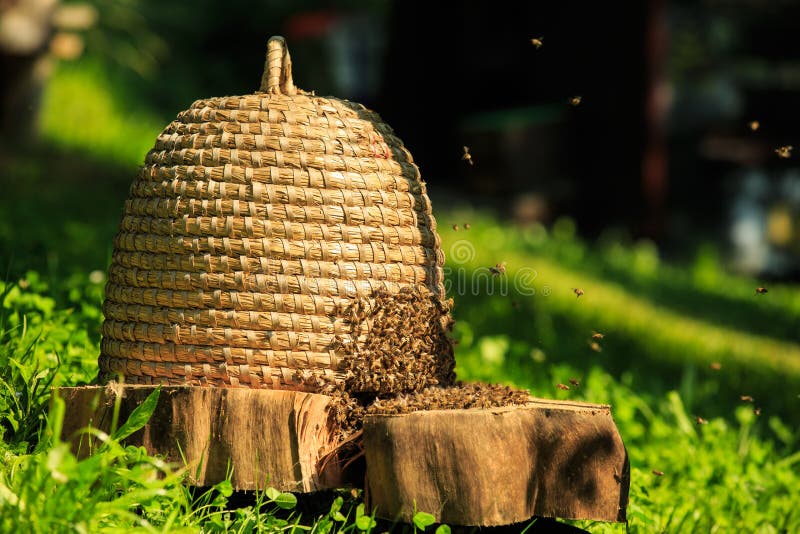 Mean Looking Bee Logo Stock Photos - Free & Royalty-Free Stock Photos ...