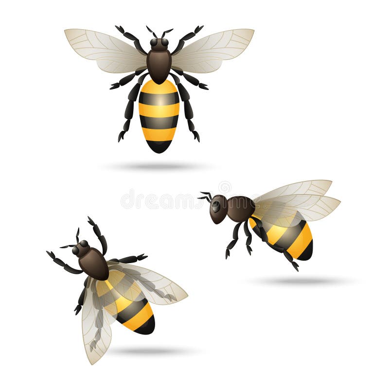 Set of Stylized Bees with Hives Stock Vector - Illustration of ...