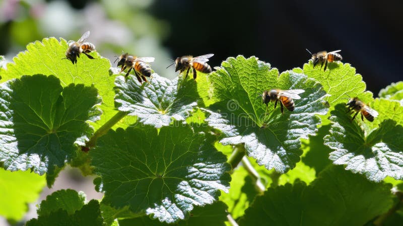 Busy Bees on Green Leaves: a Close-Up of Pollination in Action Stock ...