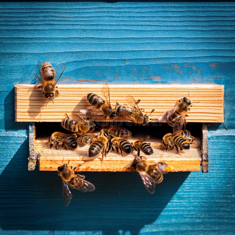 Bees Scient. Class. Hymenoptera Insect Animal, AI Generated Stock ...