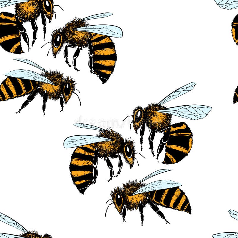 Bees seamless pattern stock vector. Illustration of garden - 90416898