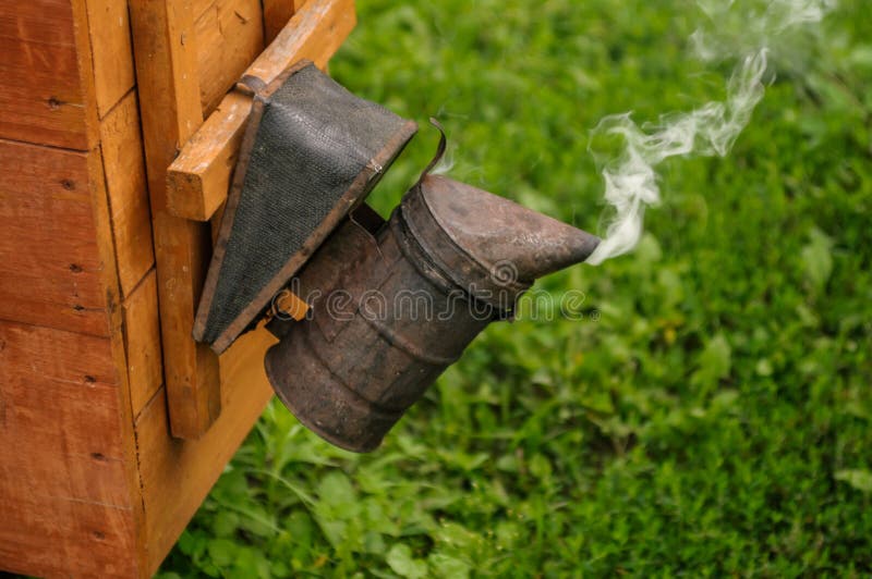 Bees smoke for bees stock photo. Image of apiary, food - 99454604