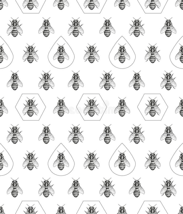 Bees Texture. Seamless Pattern. Realistic Graphic Illustration Stock ...
