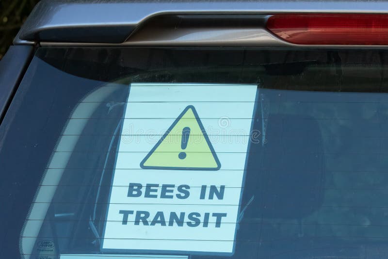 211 Exclamation Mark Car Stock Photos - Free & Royalty-Free Stock ...