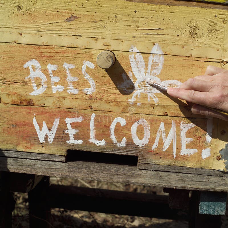 Bees are Welcome in Beehive Stock Photo - Image of welcome, brush ...