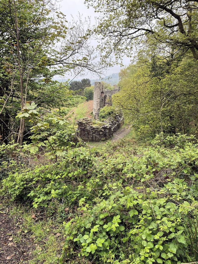 A view of Beeston Castle stock image. Image of nature - 276598029