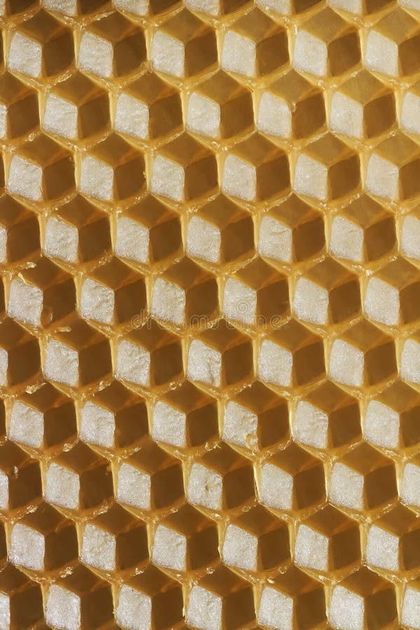 Beewax Sheet Stock Photos - Free & Royalty-Free Stock Photos from ...