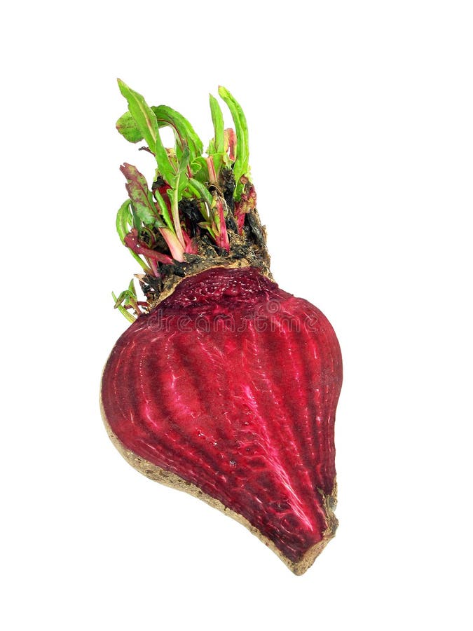 Beet stock photo. Image of close, food, single, fresh - 13463554