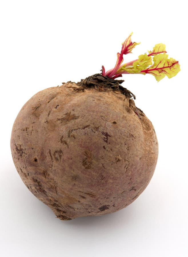 Single Beet Root With Greens Stock Image - Image of wooden, natural ...