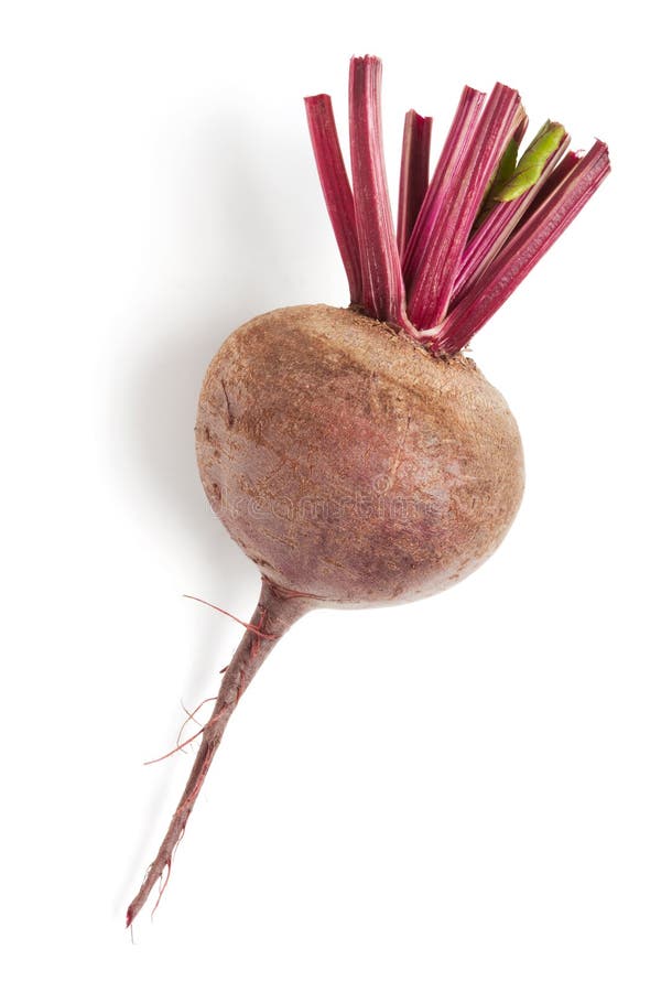 Beet stock image. Image of freshness, plant, food, vegetarian - 20122235